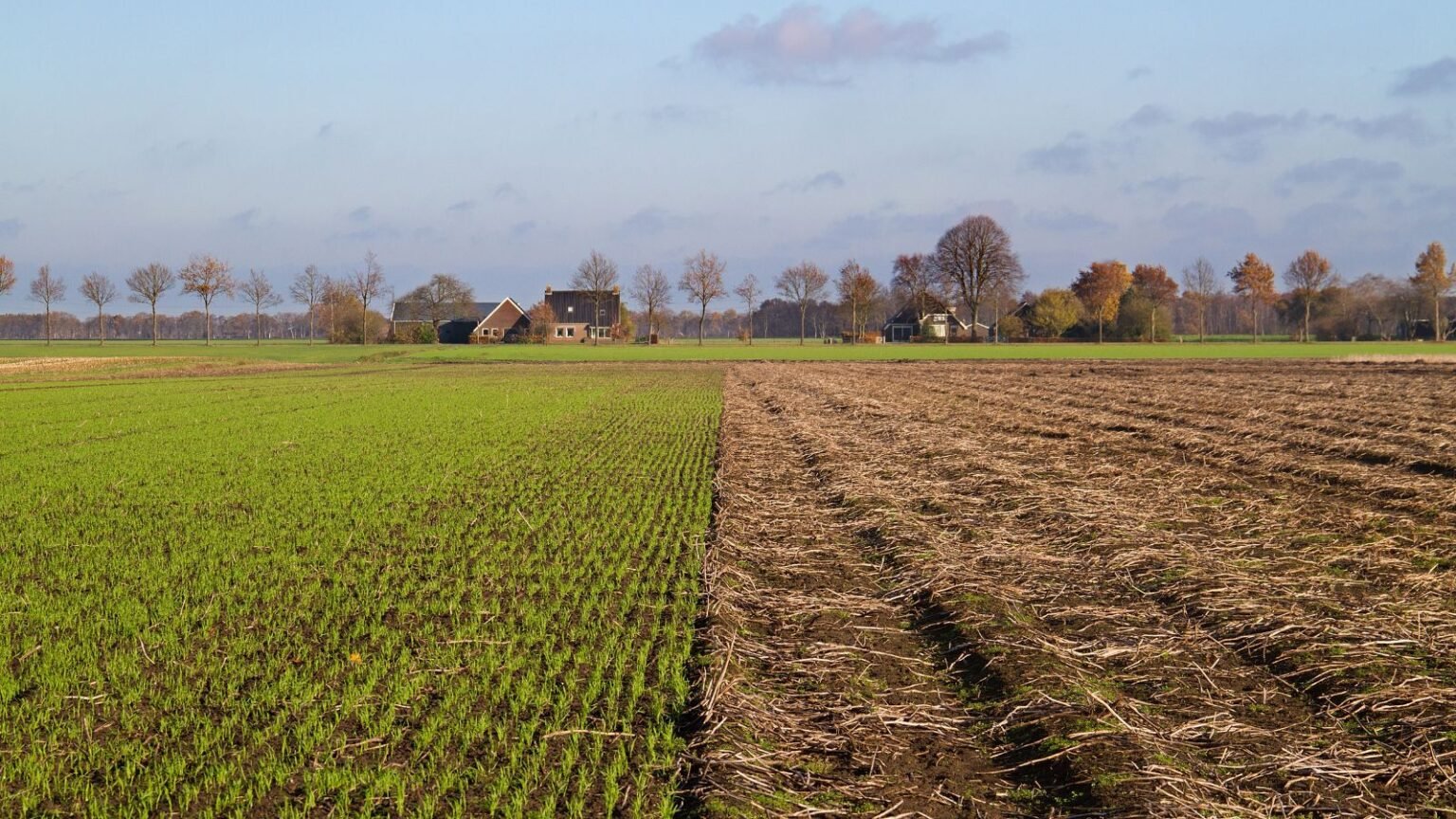 What is Crop Rotation? Benefits and Examples