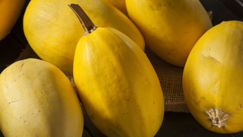 How to Plant, Grow, and Care for Spaghetti Squash