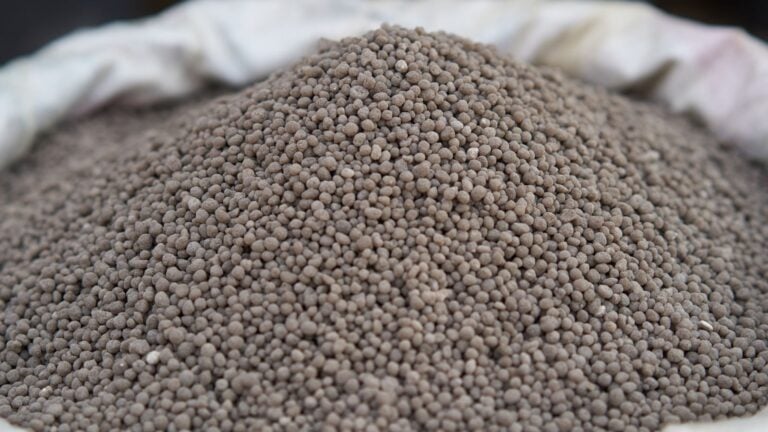 How to Use Rock Phosphate Fertilizer in Your Garden
