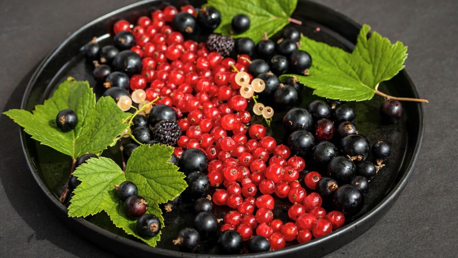 How to Plant, Grow, and Care for Currants