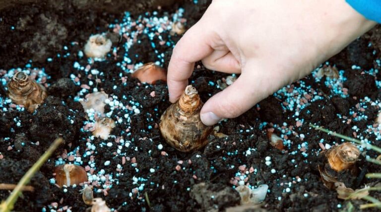 15 Gardening Tasks You'll Be Happy You Did This Fall