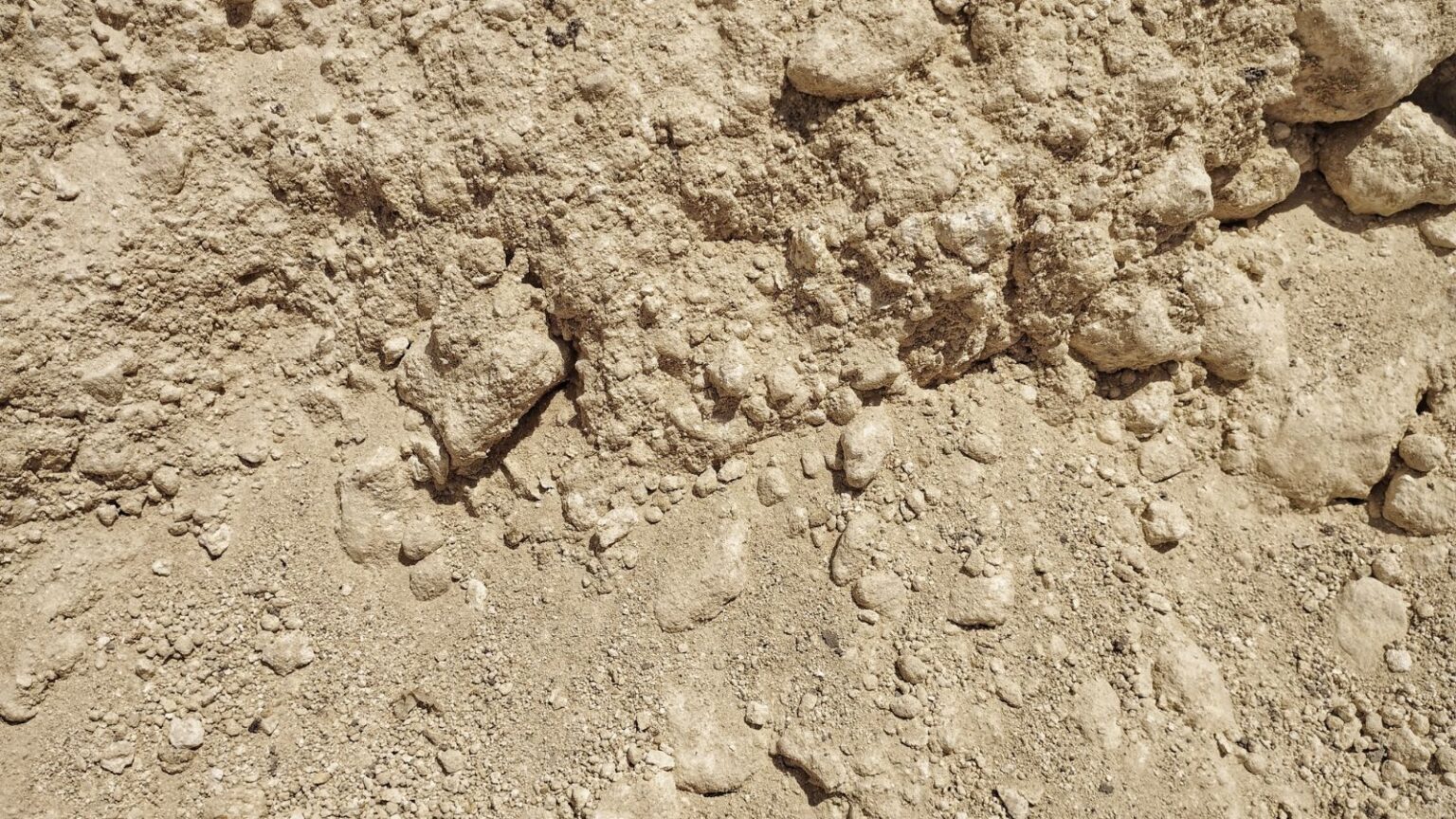 Calcium in Soil: Uses and Signs of Deficiency