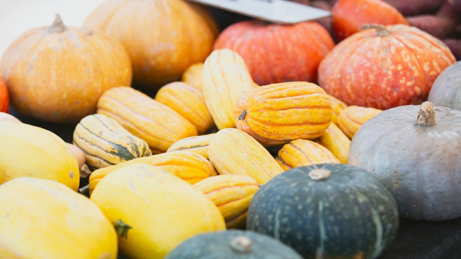 35 Winter Squash Varieties You'll Love Growing