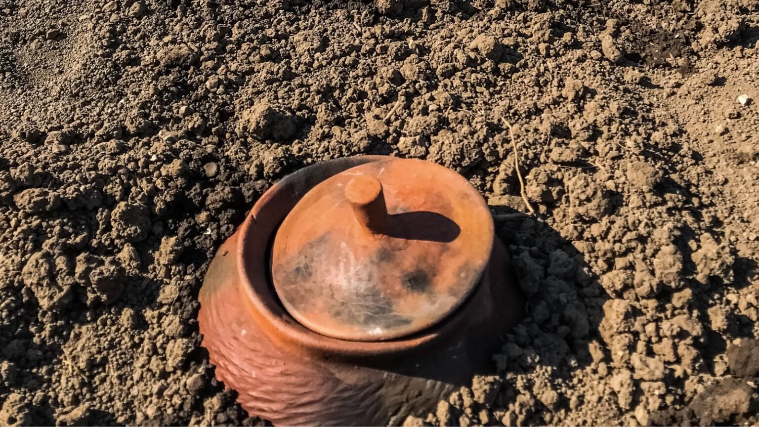 Ollas: Watering Your Garden With Ancient Tech