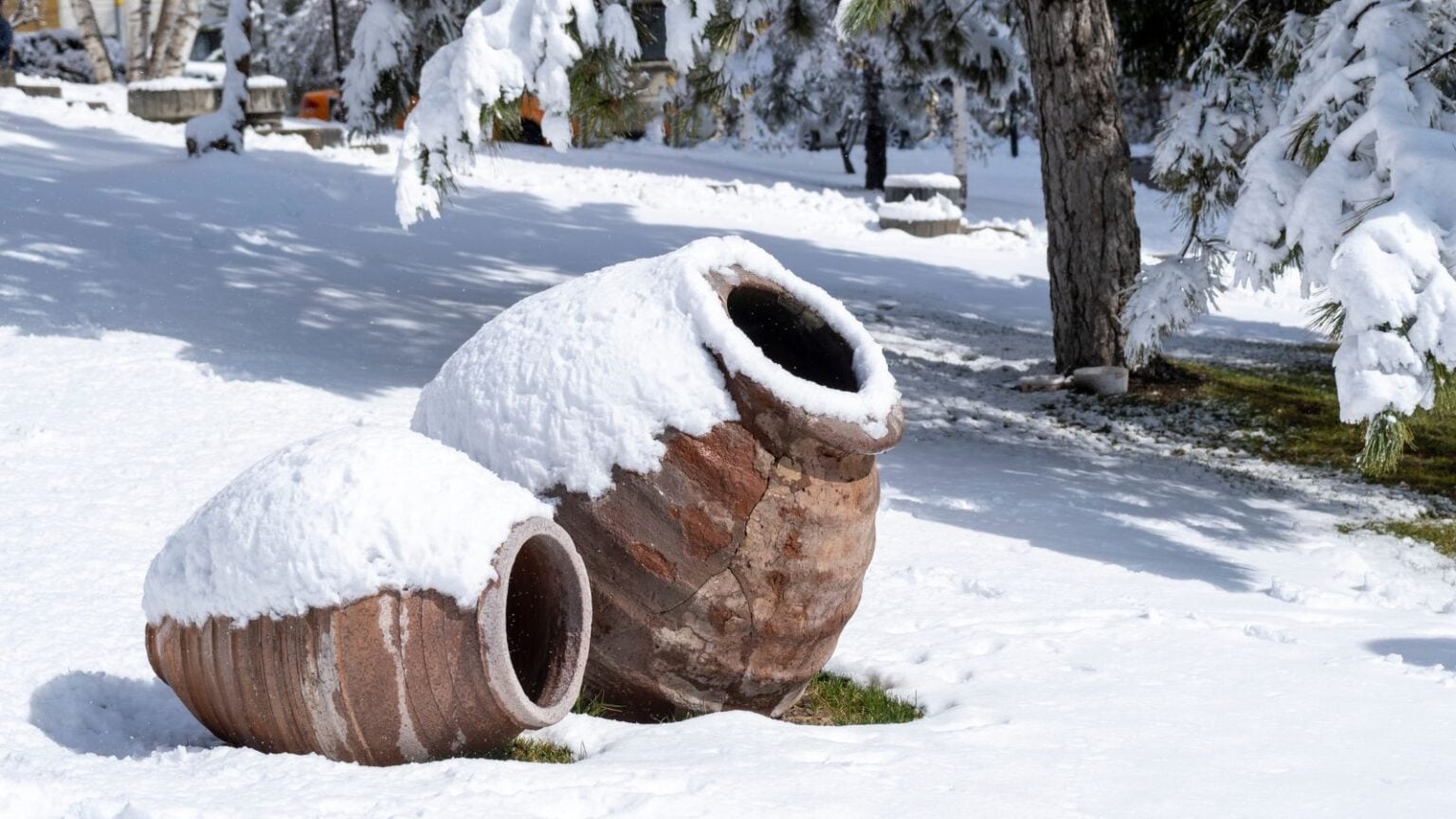 Ollas: Watering Your Garden With Ancient Tech