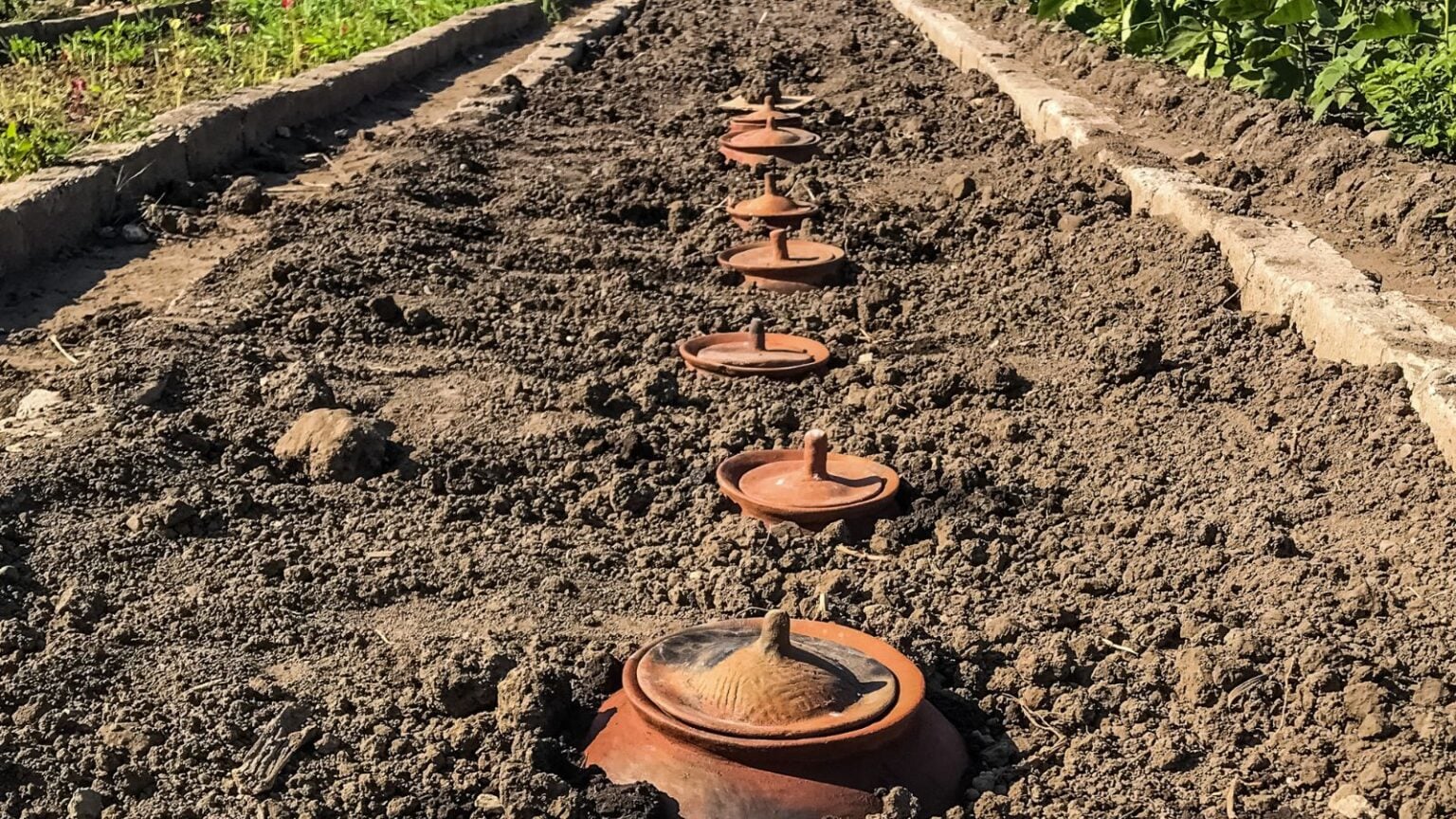 Ollas: Watering Your Garden With Ancient Tech
