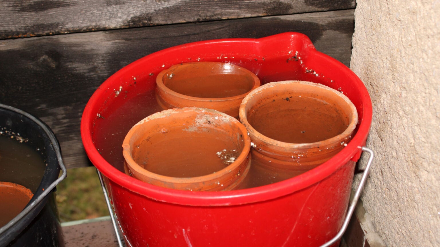 Ollas: Watering Your Garden With Ancient Tech