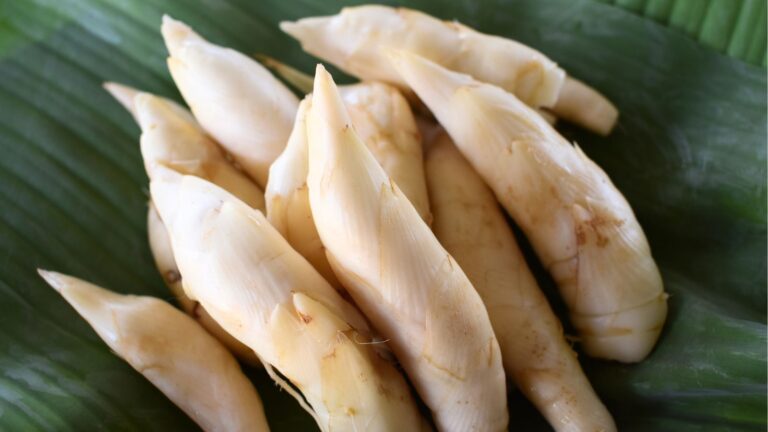 How to Plant, Grow, and Care for Arrowroot