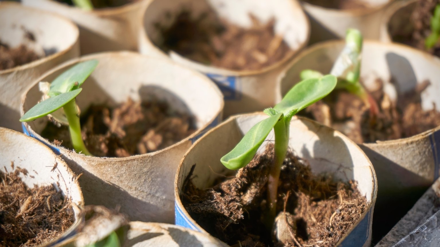 How to Make Soil Blocks: Tools and Recipes