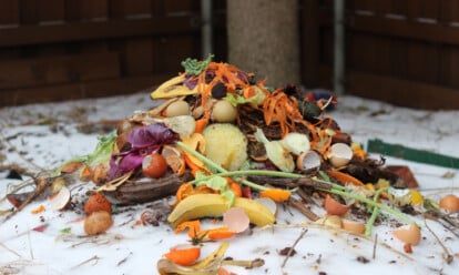 Can You Compost In the Winter? - Epic Gardening