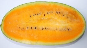 31 Watermelon Varieties You Can Grow This Season