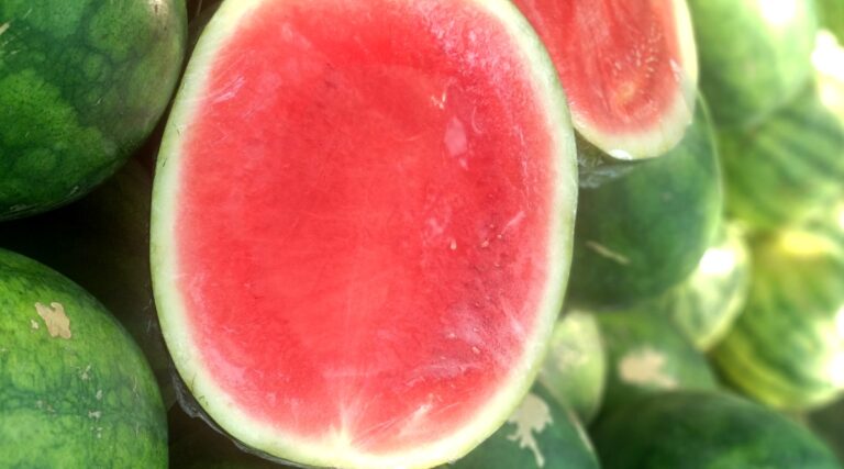 31 Best Watermelon Varieties You Should Grow This Season