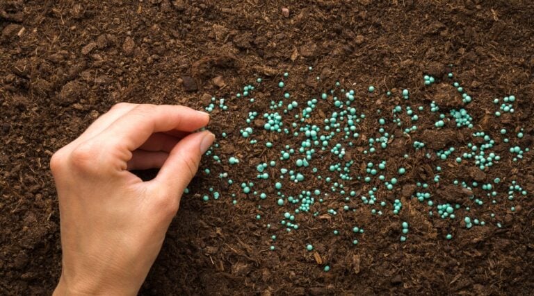 Phosphorus In Soil: How Does It Work?