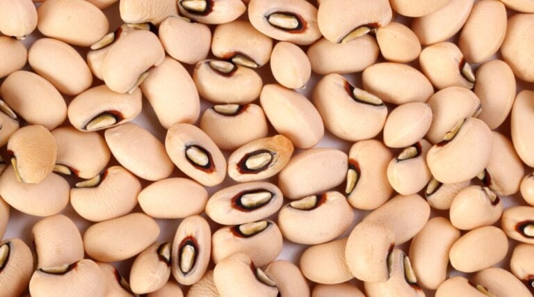 44 Types Of Beans: Top Varieties To Grow At Home