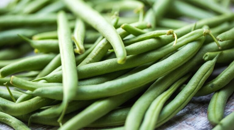 44 Types Of Beans: Top Varieties To Grow At Home