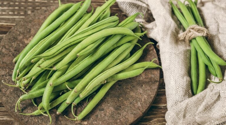 44 Types Of Beans: Top Varieties To Grow At Home