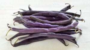 44 Types Of Beans: Top Varieties To Grow At Home