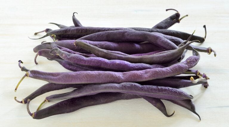 44 Types Of Beans: Top Varieties To Grow At Home