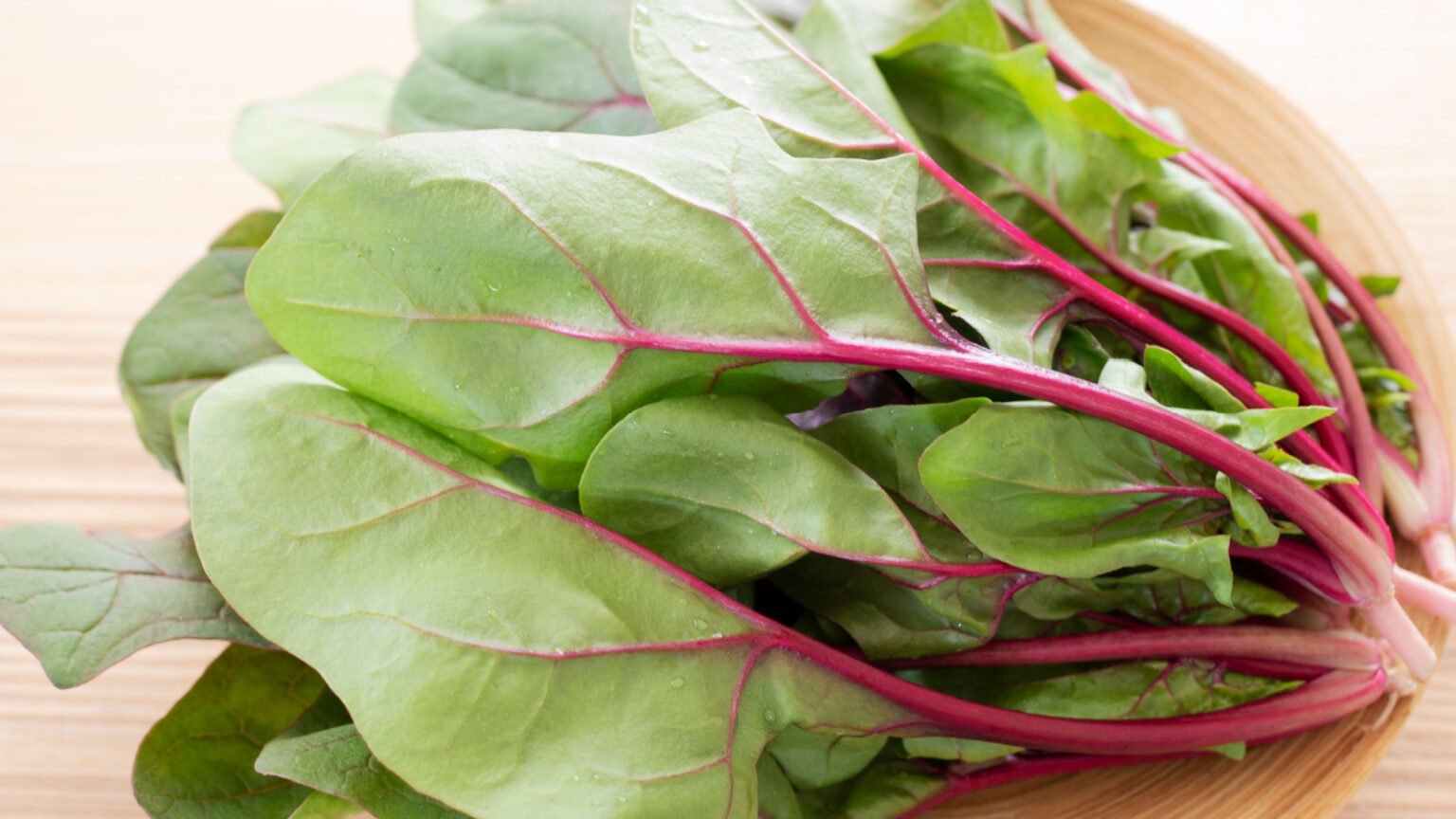 40 Types of Spinach For Your Garden