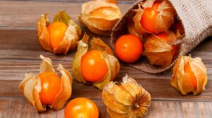 Ground Cherry Plant: How To Grow Cape Gooseberries