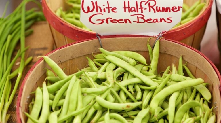 44 Types Of Beans: Top Varieties To Grow At Home