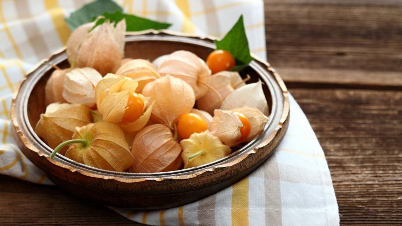 How to Plant, Grow and Care for Ground Cherry