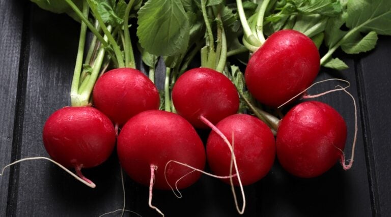 40 Different Types of Radishes to Grow This Season