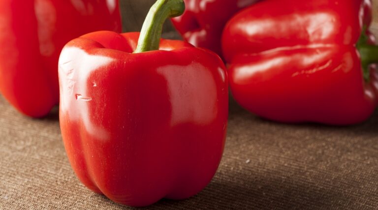 46 Types of Sweet Peppers to Grow This Season