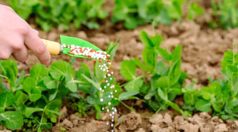 15 May Gardening Tips For Beautiful Flower Blooms