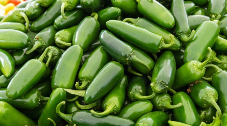 43 Different Types of Hot Peppers to Grow This Season