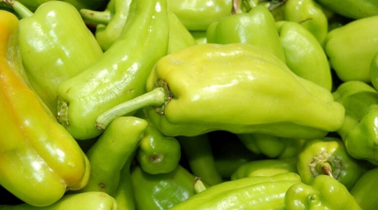 46 Types of Sweet Peppers to Grow This Season