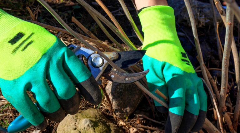 15 May Gardening Tips For Beautiful Flower Blooms