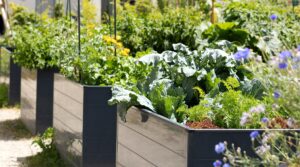 15 Benefits of Raised Bed Gardening