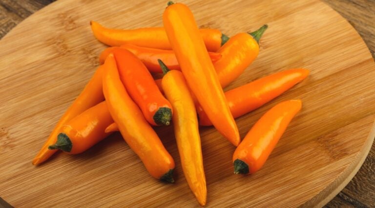 46 Types of Sweet Peppers to Grow This Season