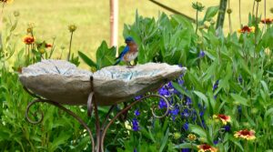 15 Different Ways to Attract Pollinators To Your Garden