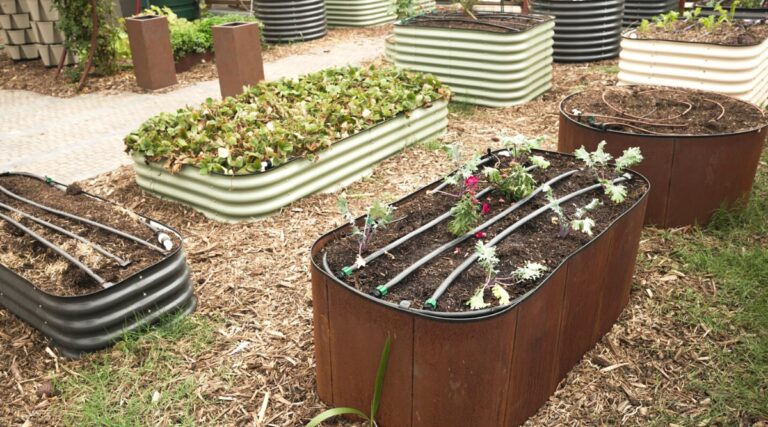 Do Metal Raised Garden Beds Get Too Hot?