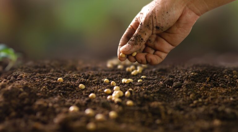 15 May Gardening Tips For Beautiful Flower Blooms
