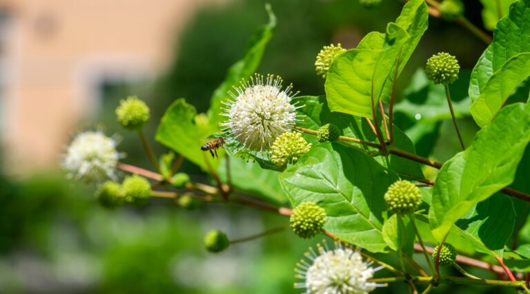 27 Native Plants That Attract Hummingbirds