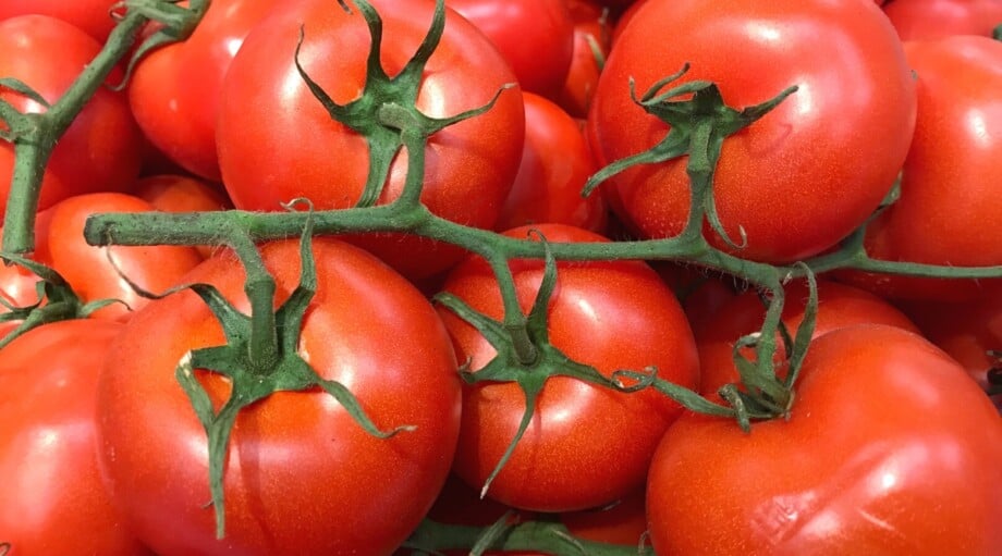 19 Early Season Tomato Varieties For Your Garden