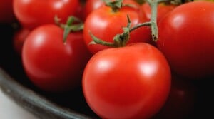 19 Early Season Tomato Varieties For Your Garden