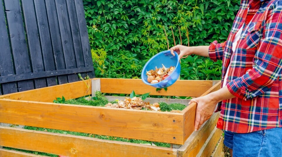 5 Composting Myths You Shouldn't Believe