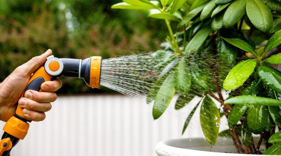 7 Best Types of Garden Irrigation: Compare and Contrast
