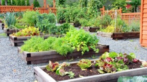 15 Tips for Gardening in Small Spaces