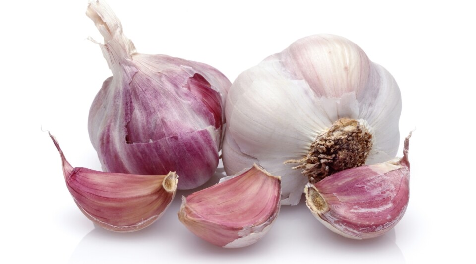 13 Varieties of Garlic to Plant This Fall