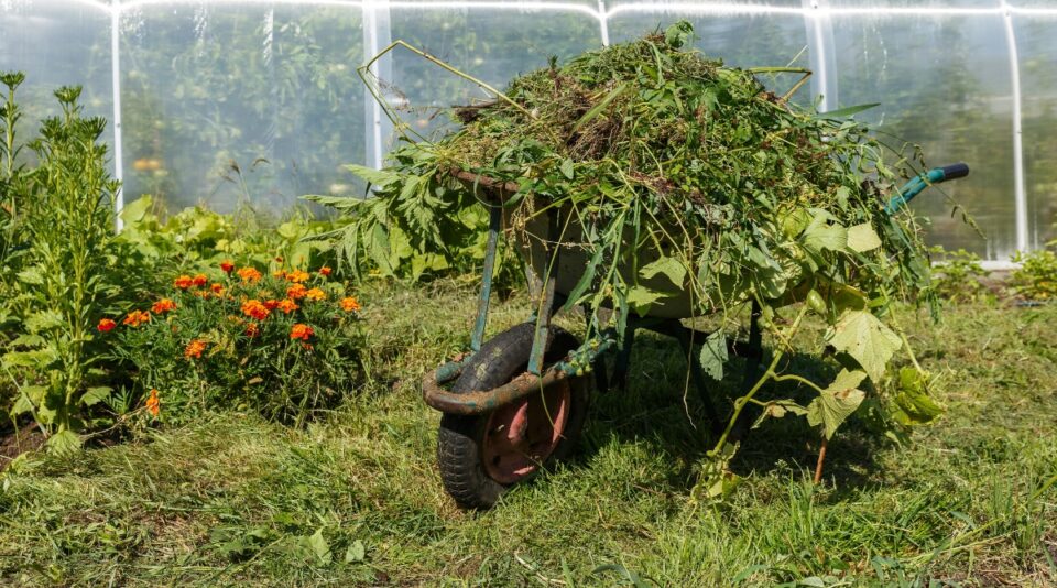 9 Tips for Putting Your Fall Garden to Bed