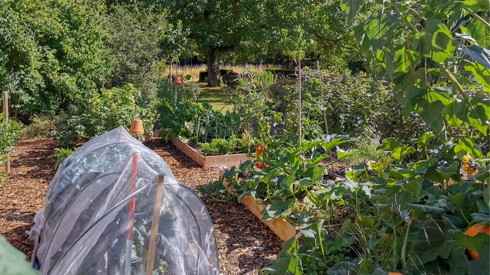 Small Permaculture Gardens