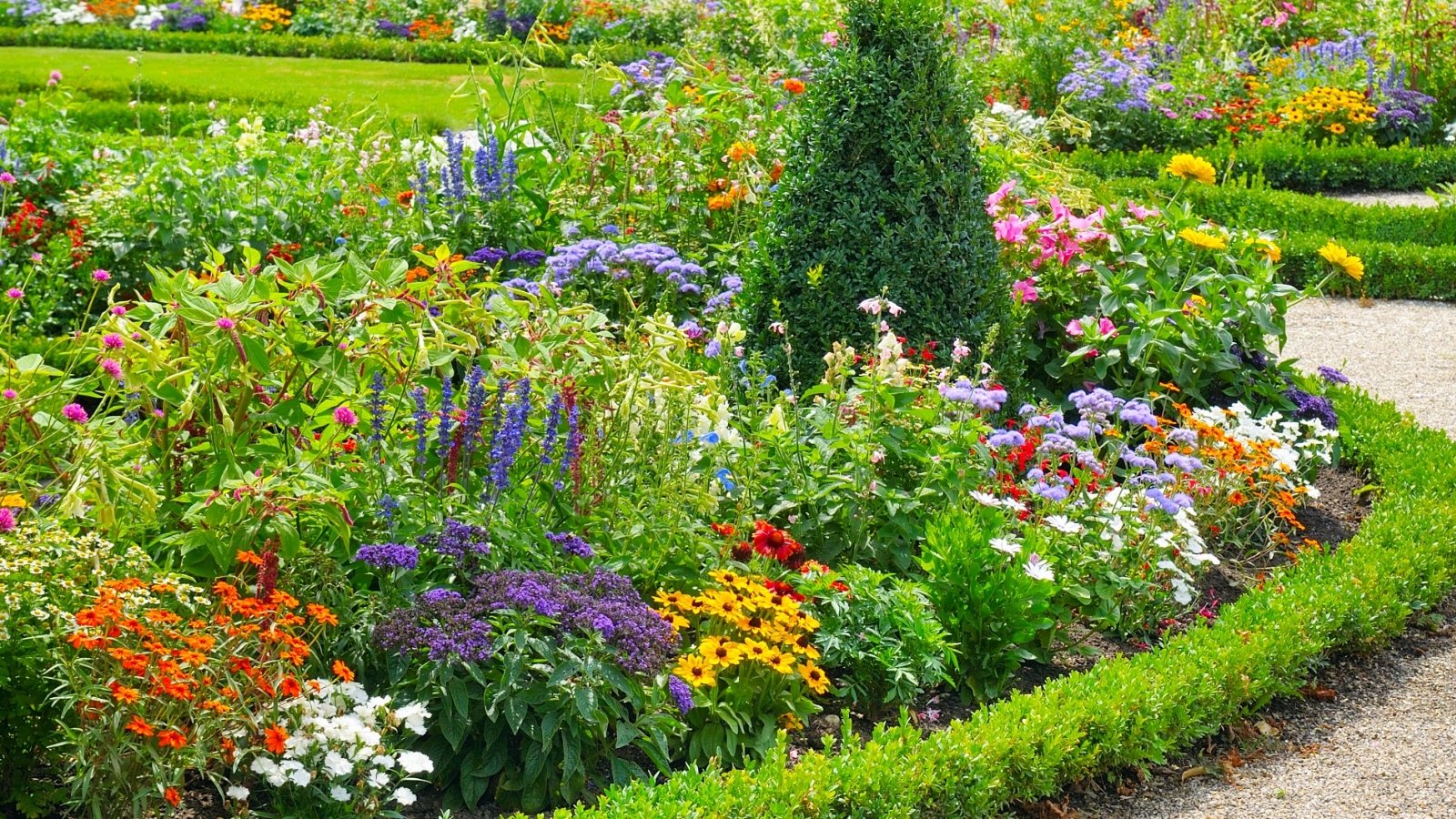 39 Seeds to Plant in Fall for Spring Blooms