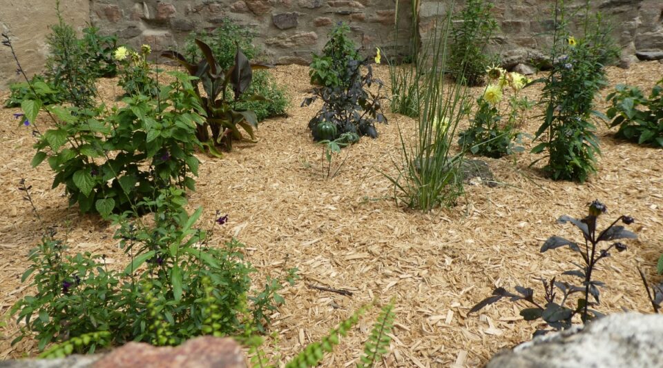 10 Ways to Spend Less Time Weeding