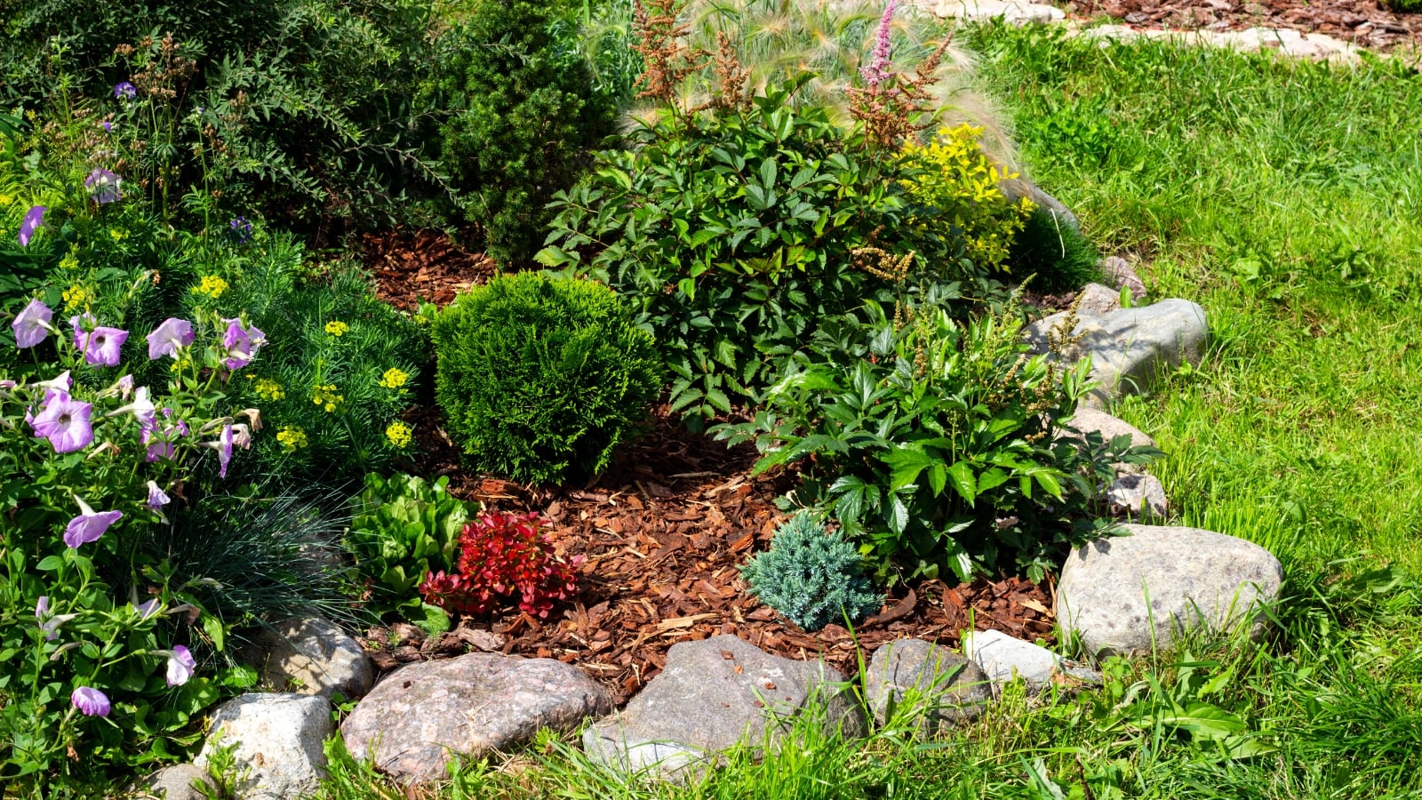 9 Ways to Help Your Garden Through Summer Drought