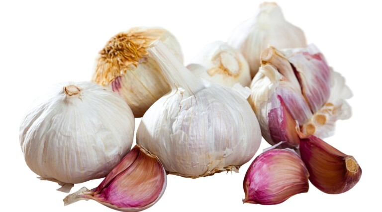 13 Varieties of Garlic to Plant This Fall